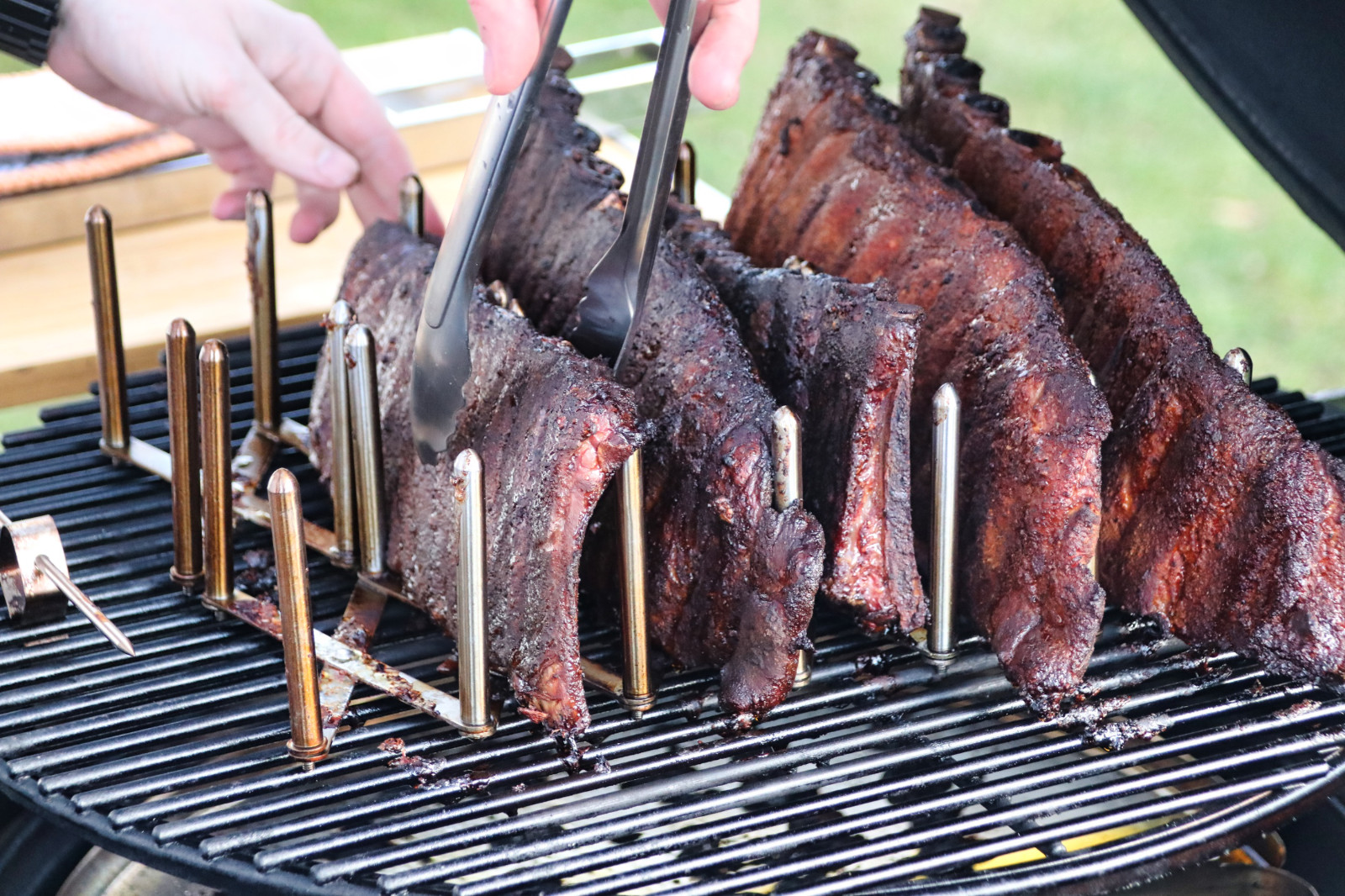 Ribbs im Frühling | PlaNet Fox